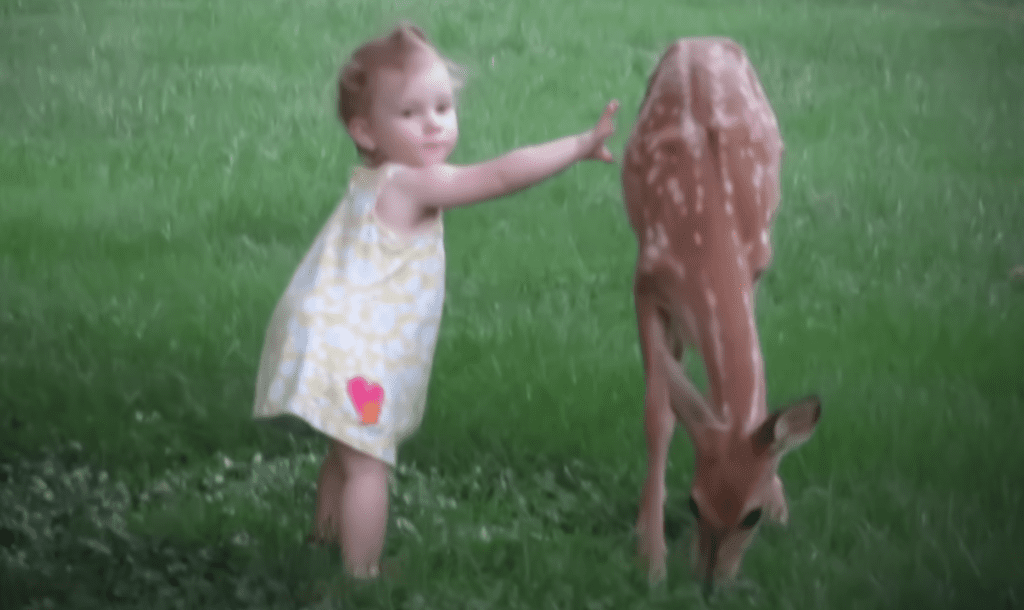 Baby encounters wild deer in her backyard