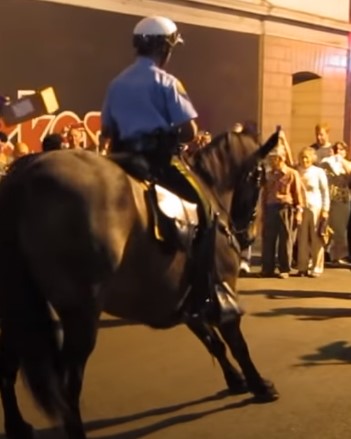 Police Horse Hears Music And Dances In Street