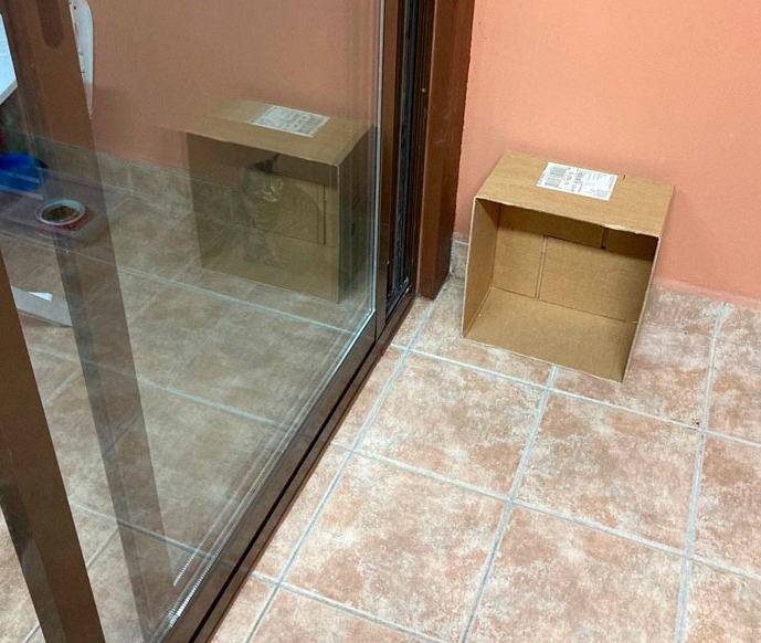 40 cats that defy the laws of physics