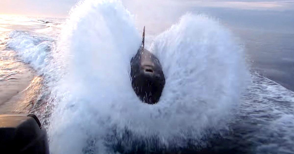 Remarkable Footage Of Killer Whales Chasing Fishing Boat