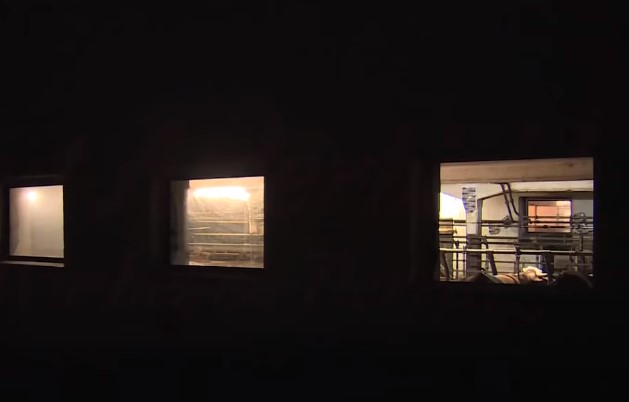 Bull who’s been imprisoned his whole life takes his first steps toward ...