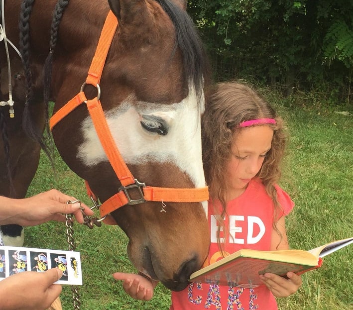 Mom Films Daughter’s Morning Ritual In Horse Stable