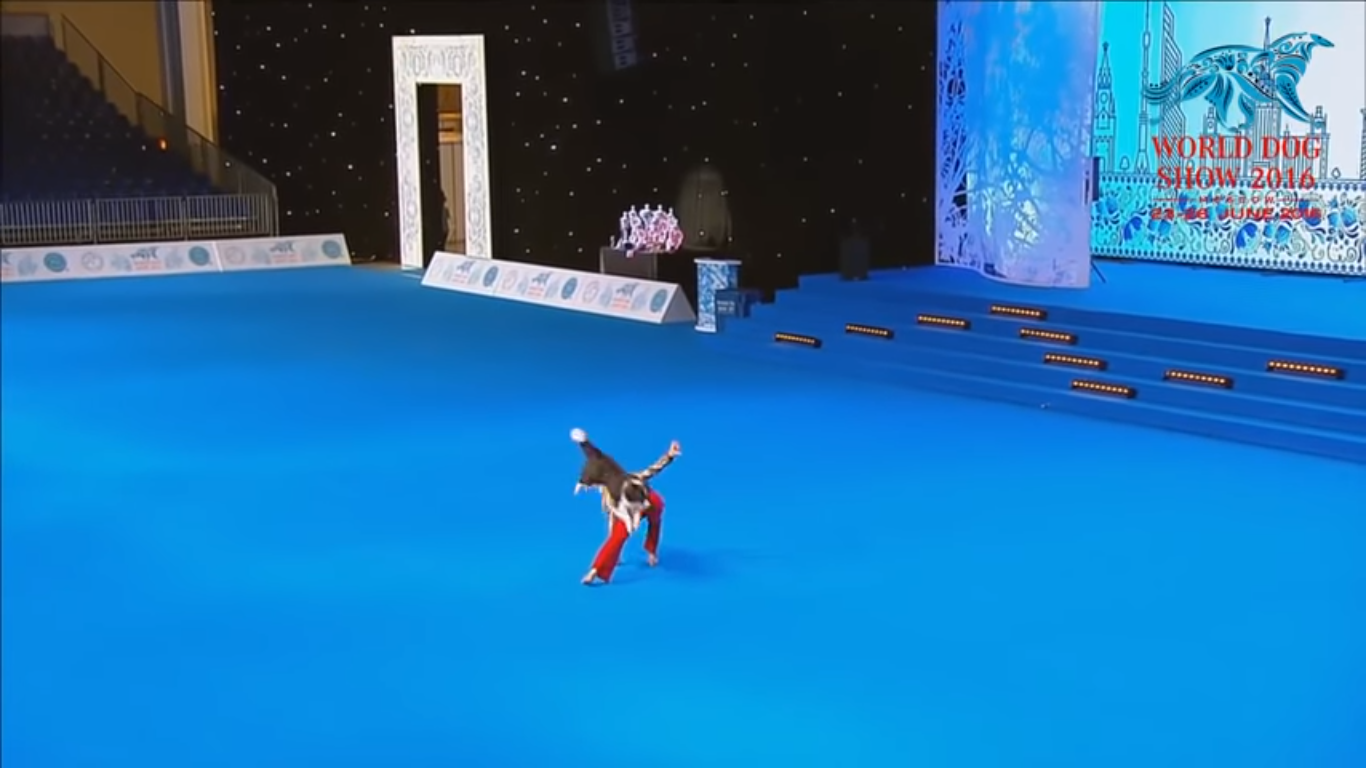Dog steals the show with her incredible moves at world dance ...