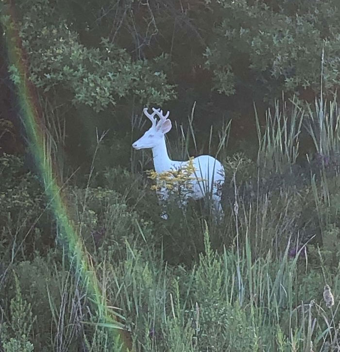 50 incredible sights found in nature that show how awesome our world is