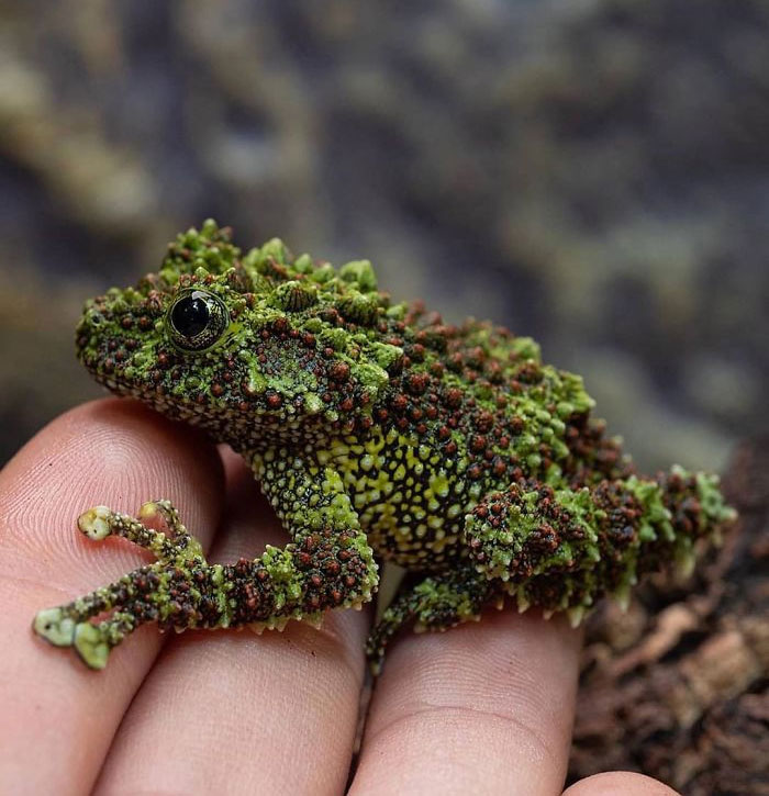 50 incredible sights found in nature that show how awesome our world is