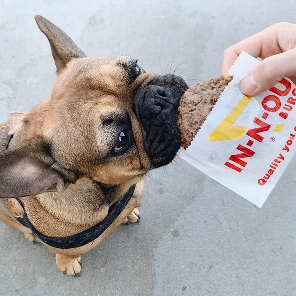 10 popular restaurants with secret doggie menus for your pup