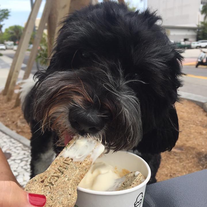 10 popular restaurants with secret doggie menus for your pup