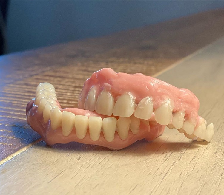 Yorkie Has Owner In Laughter Stealing Fake Teeth