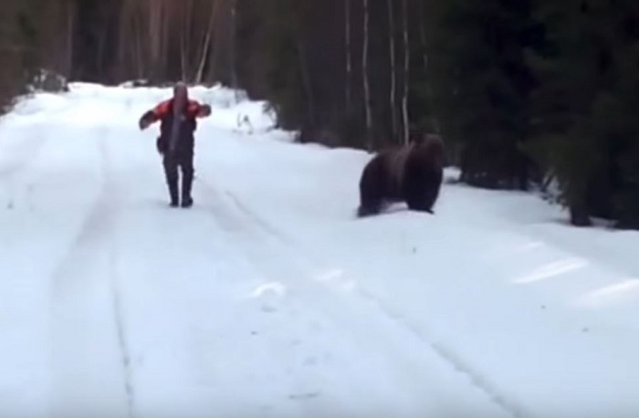 Bear runs up to attack but man scares him instead