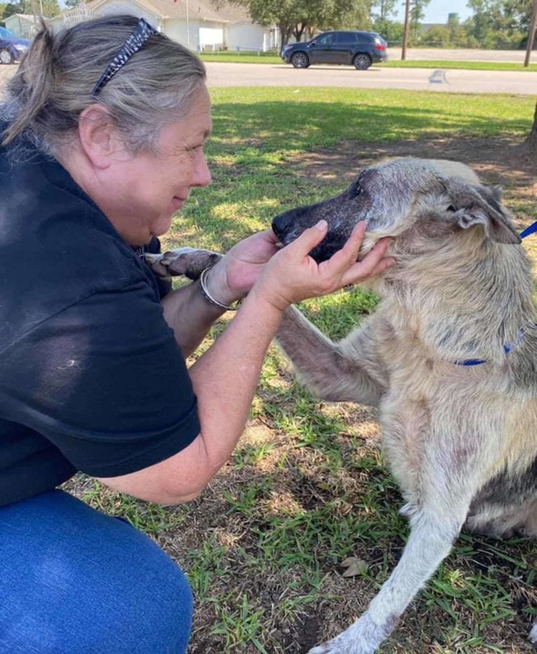 Sweet rescue German Shepherd comes up with adorable trick to help her ...