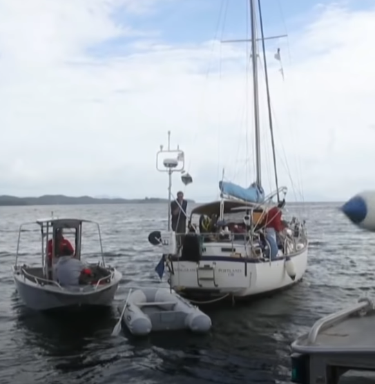 Rescuers Pull Off Monumental Rescue For Stranded Crying Orca