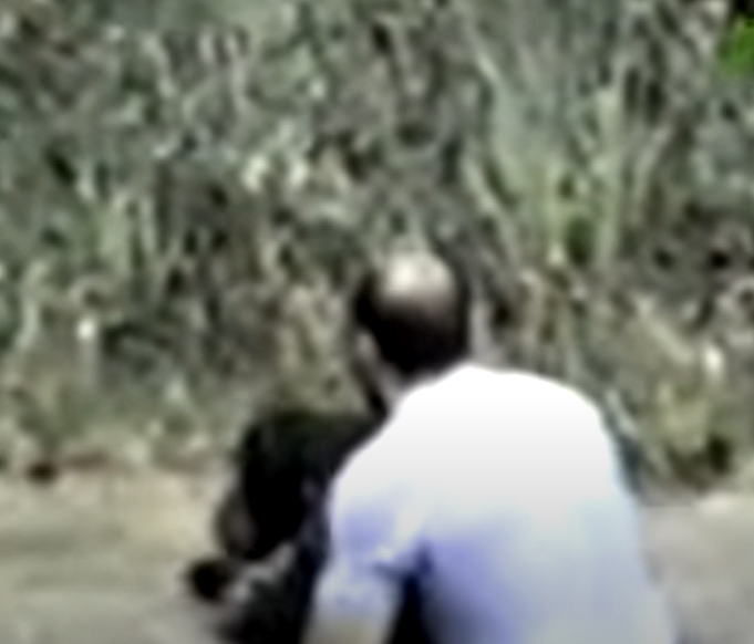Man Jumps In Enclosure To Save Drowning Chimp
