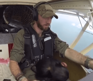 Kidnapped Baby Chimp Steals Hearts With Adorable Snuggle