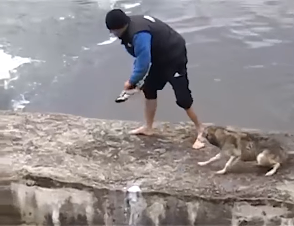 Puppy drowning in river rescued – cries out in pure joy