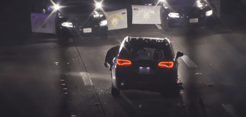 Police dog gets all dressed up for his official ID badge photo