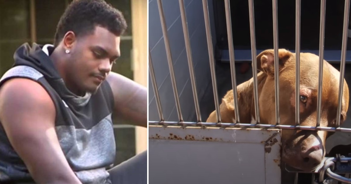NFL player asks shelter for their ‘least adoptable dog’