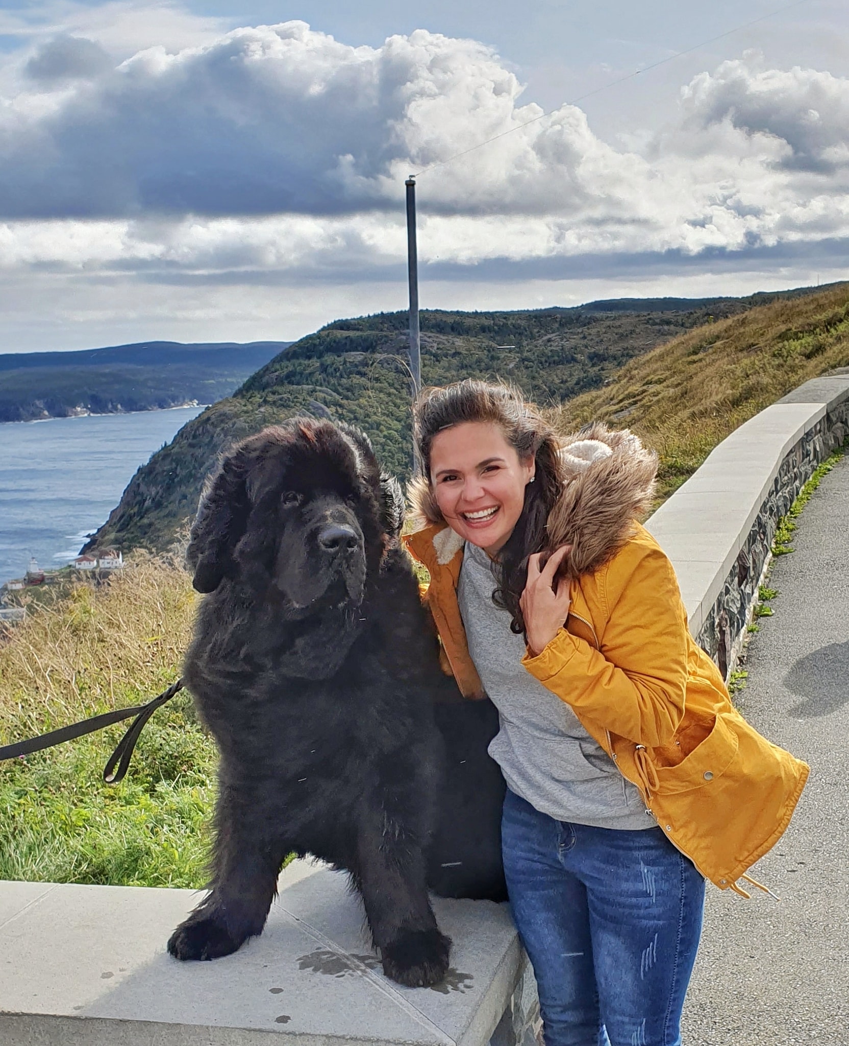 50 unexpected encounters with dogs doing their thing and being awesome