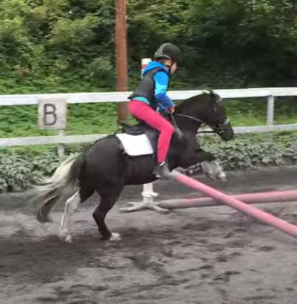 Sweet Pony Helps Little Girl Who Falls Off After Jump