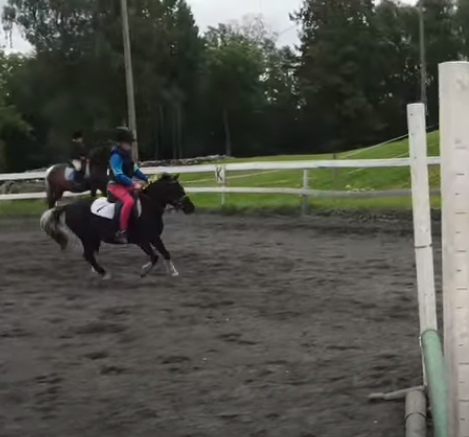 Sweet Pony Helps Little Girl Who Falls Off After Jump