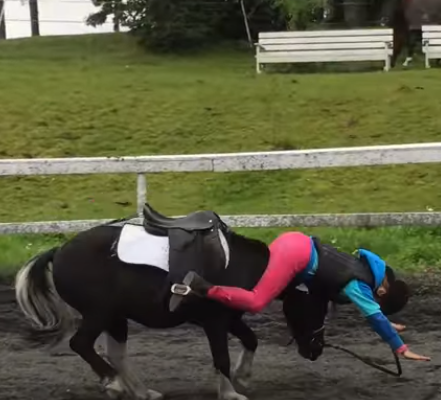 Sweet Pony Helps Little Girl Who Falls Off After Jump