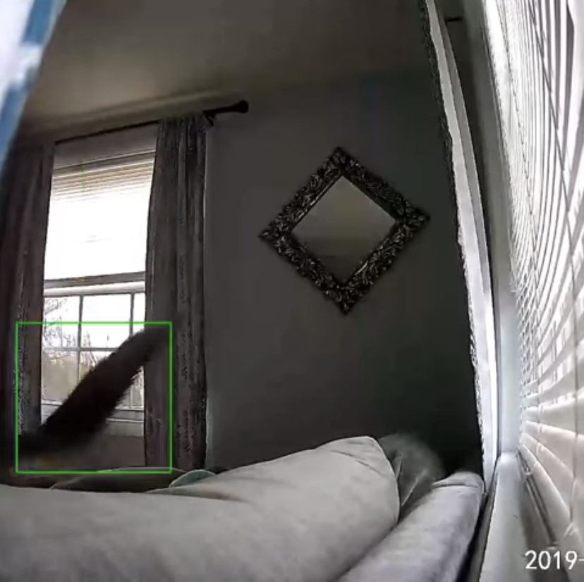 Security camera picks up German Shepherd ‘guard dog’ in action and the ...