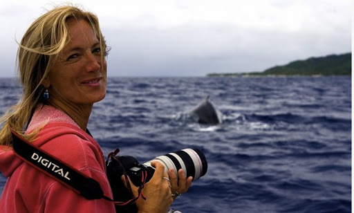 Humpback whale won’t stop nudging biologist then she realizes he was ...