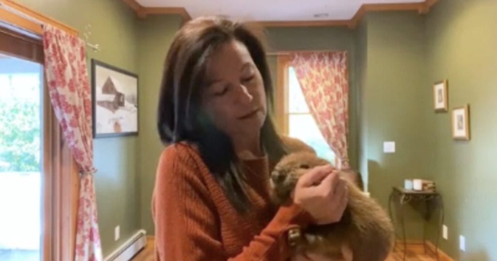 Rescued baby beaver builds dams with family’s things everday