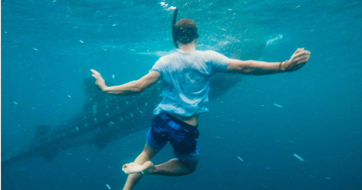 20 life-saving techniques to survive an animal attack