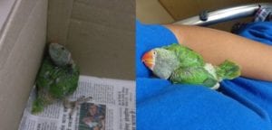 50 Chill Animals Who’ve Mastered The Art Of Relaxation