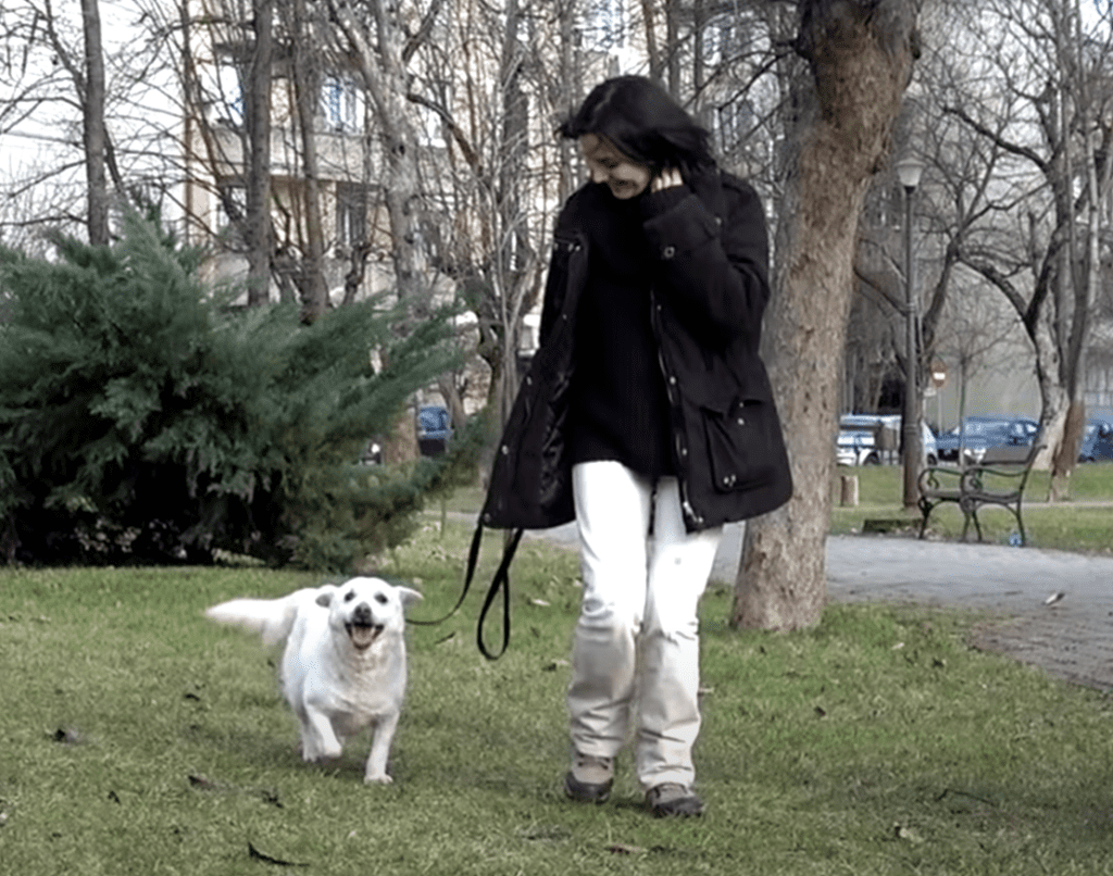 Terrified dog with broken heart rescued after owner says he doesn’t ...