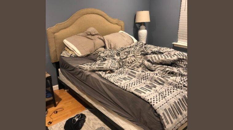 People are struggling to find the hidden dog in this viral photo