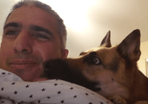 Hilarious German Shepherd wants attention now and won’t back down