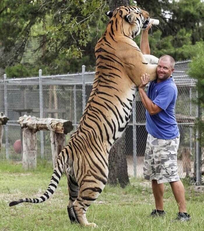 40+ animals that are actually way bigger than you think