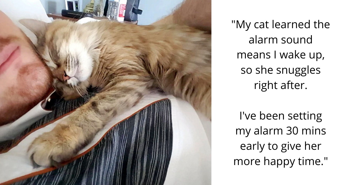 50 Pics That Will Steal Your Heat With Their Cuteness