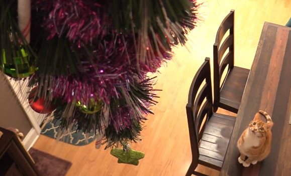 35 Creative People Who Found A Way To Protect Their Christmas Trees ...