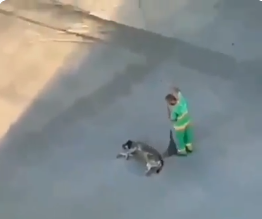 Hidden camera captures street sweeper showing love to a stray dog