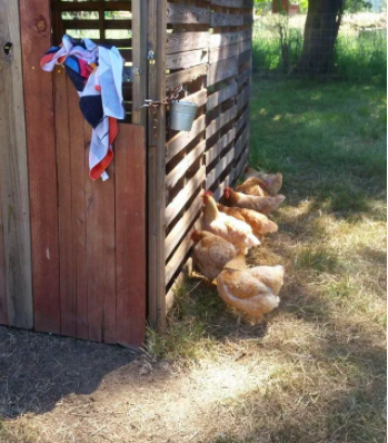 60 crack-up pics of animals snapped at just the right time