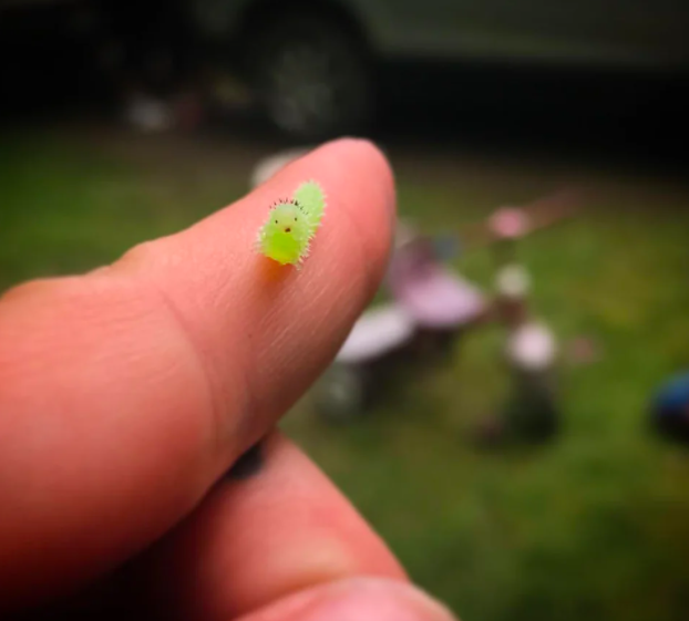 60 crack-up pics of animals snapped at just the right time