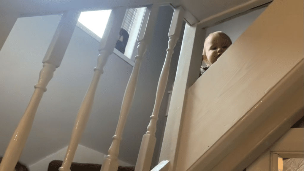 Puppy and baby work together to learn how to climb the stairs