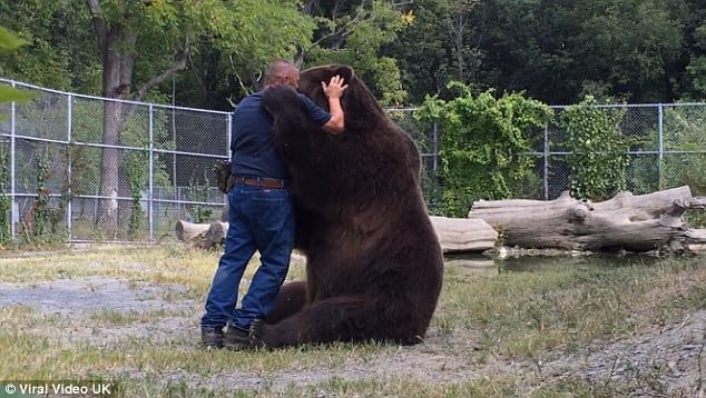 40 grateful animals who didn’t forget to thank their rescuers