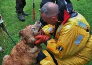 40 grateful animals who didn’t forget to thank their rescuers