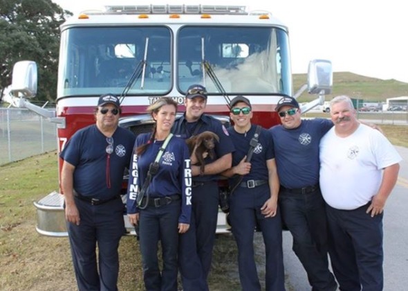 40 grateful animals who didn’t forget to thank their rescuers