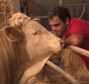 40 grateful animals who didn’t forget to thank their rescuers