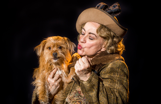 40 grateful animals who didn’t forget to thank their rescuers