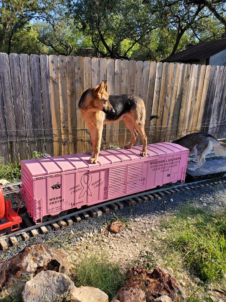 Man builds kid-sized train—but it’s his German Shepherds who are riding ...