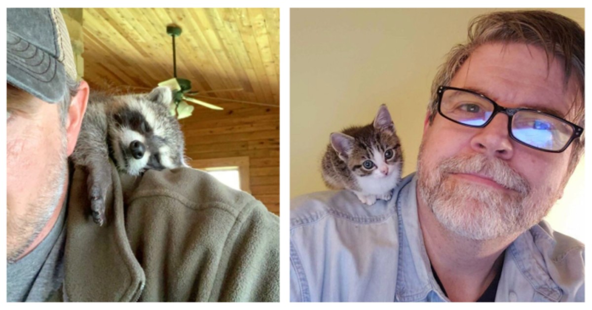 50 pets that found the coziest spot to hang out on their owners ...