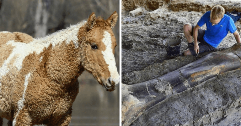 73 captivating photos of things people rarely get to see in life