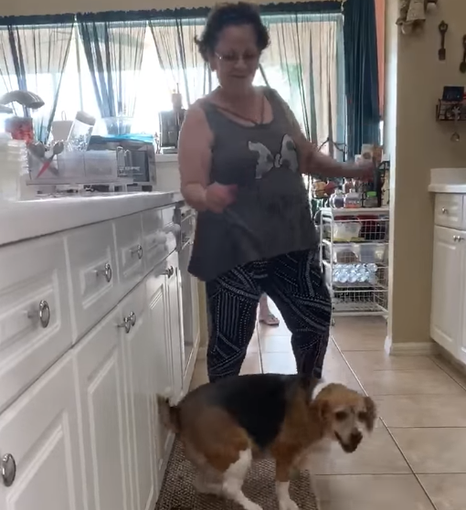 Grandma and her dog steal hearts as they dance to Reggaeton