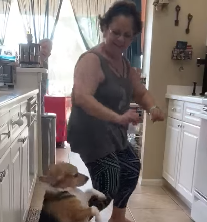Grandma and her dog steal hearts as they dance to Reggaeton