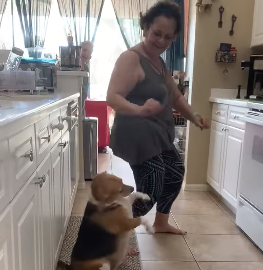 Grandma and her dog steal hearts as they dance to Reggaeton